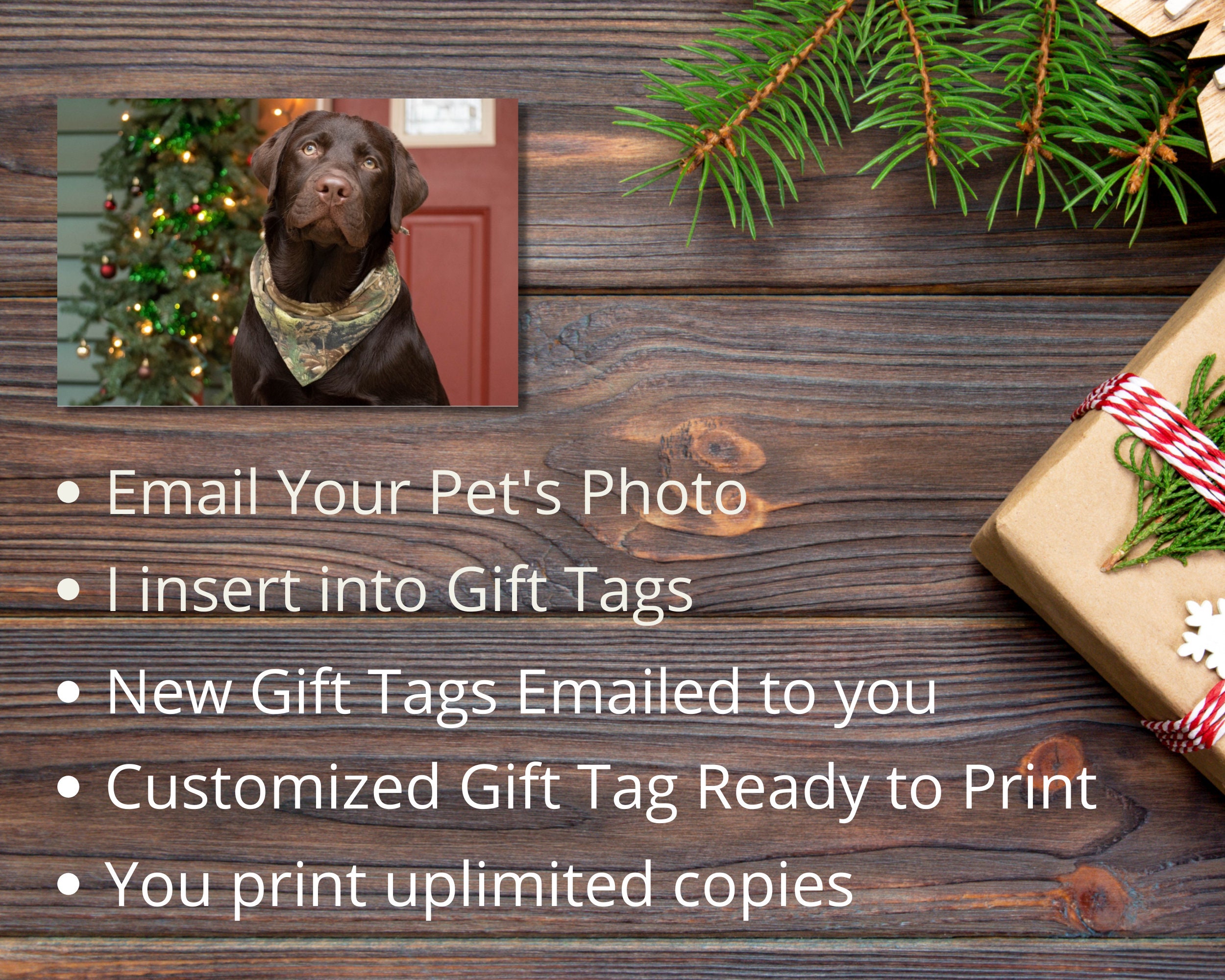Customized Pet Christmas Gift Tags - Etsy