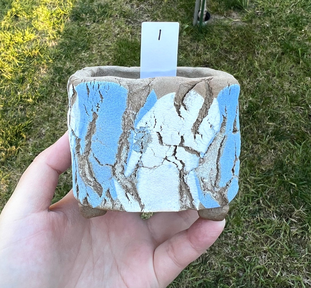 Crack-style Succulent Planter Pot - Etsy