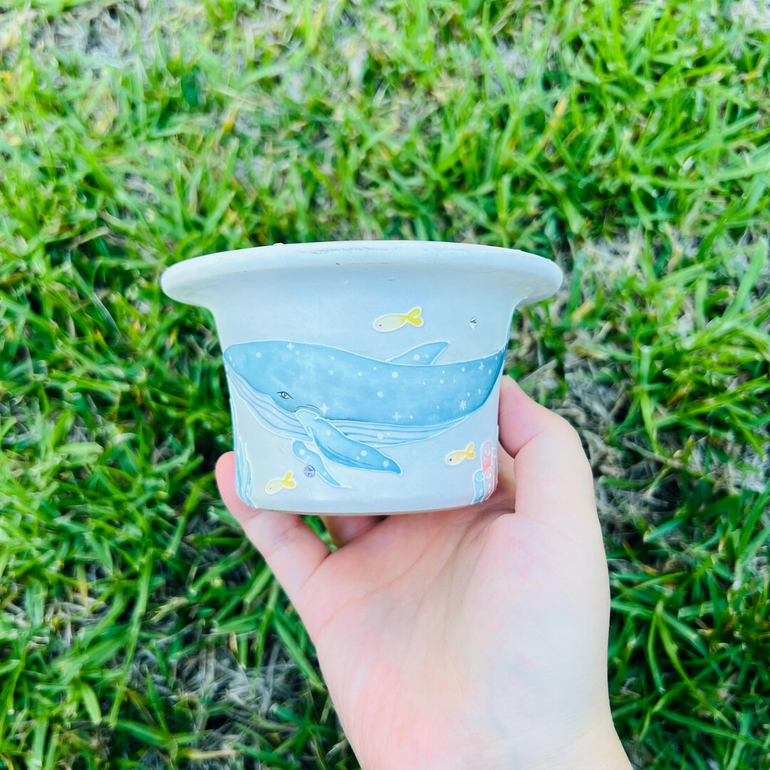 Toto Handmade Hand-painted Succulent Planter Pot - Etsy