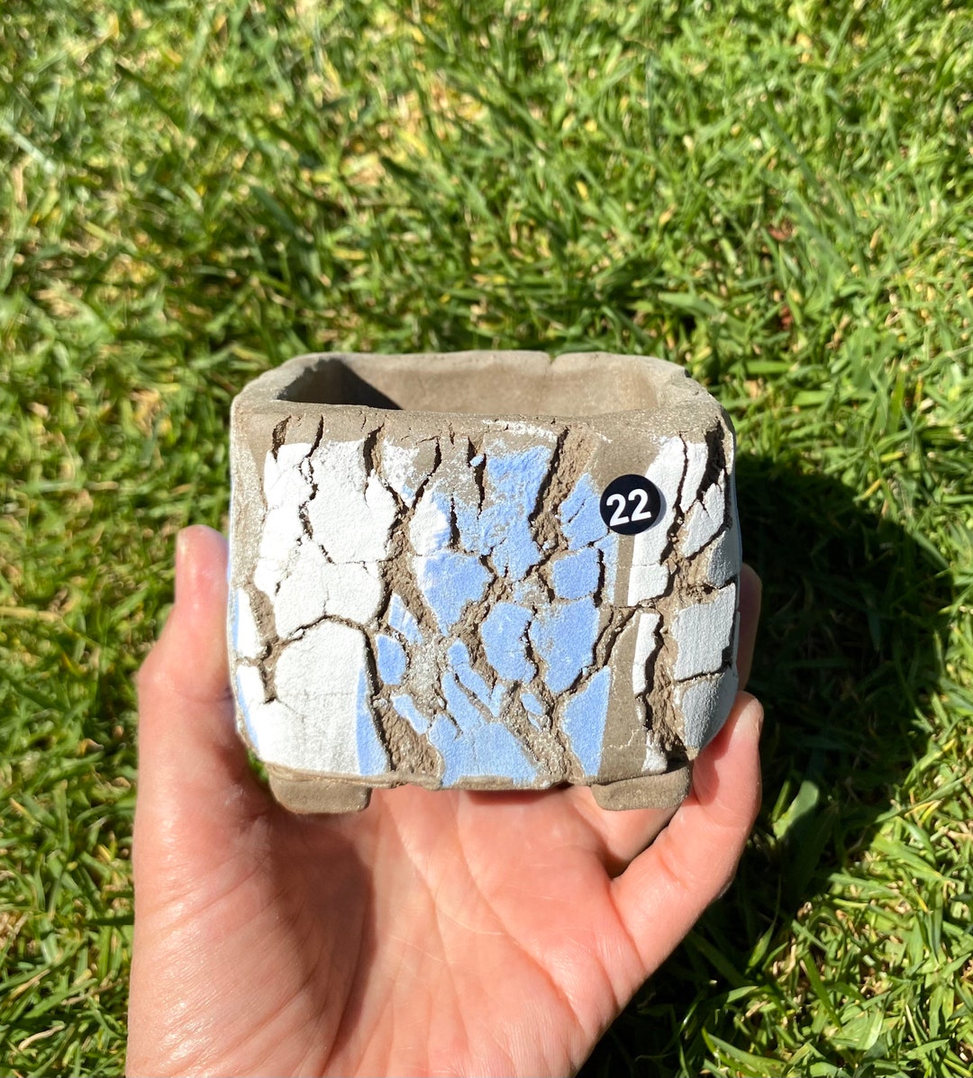 Crack-style Succulent Planter Pot - Etsy