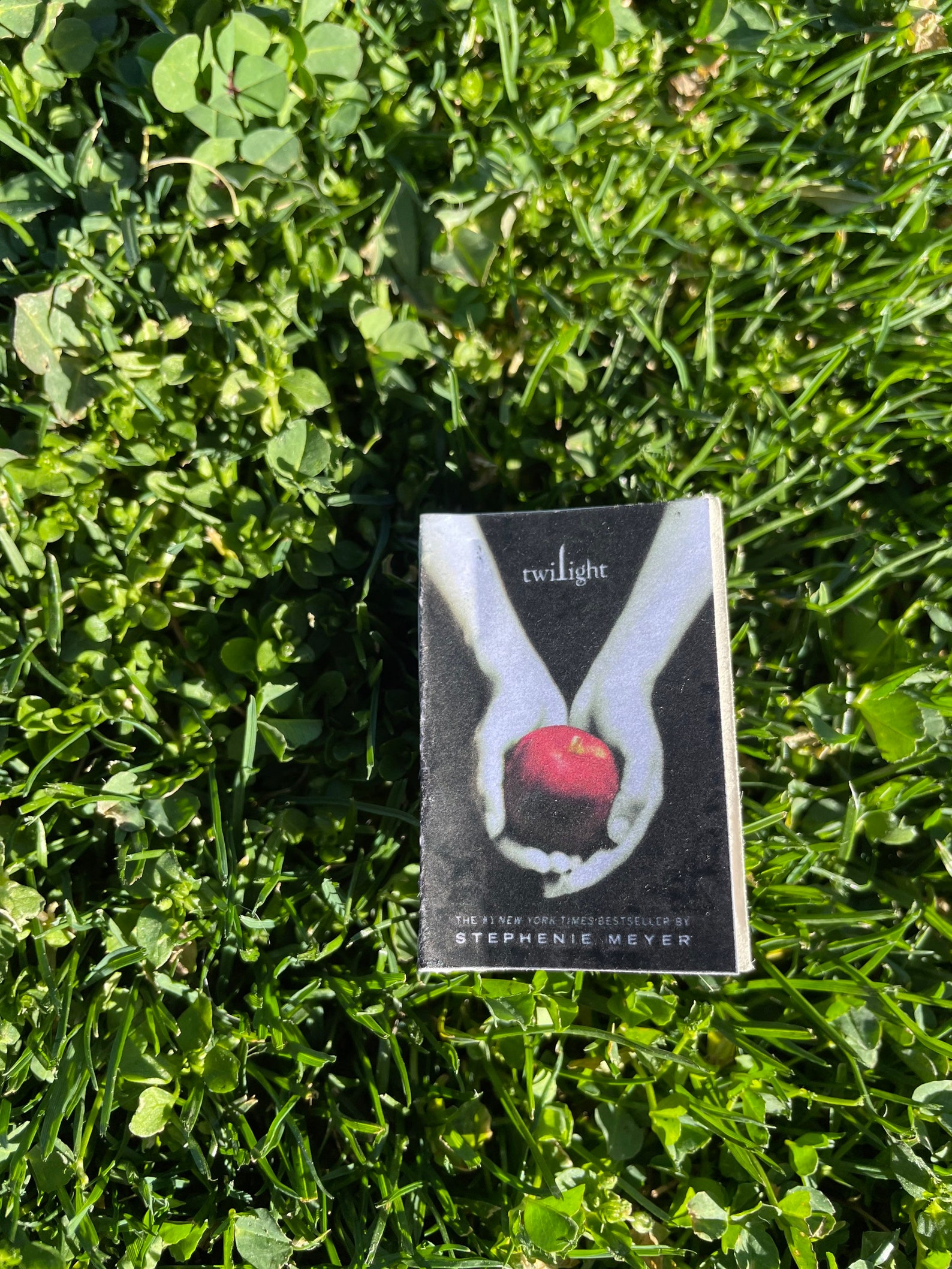 Mini Twilight Book Twilight Book Mini Book | Etsy