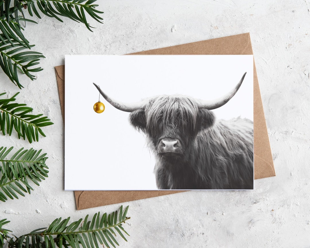 Highland Cow Christmas Card Christmas Highland Cow Cow Greeting Card ...