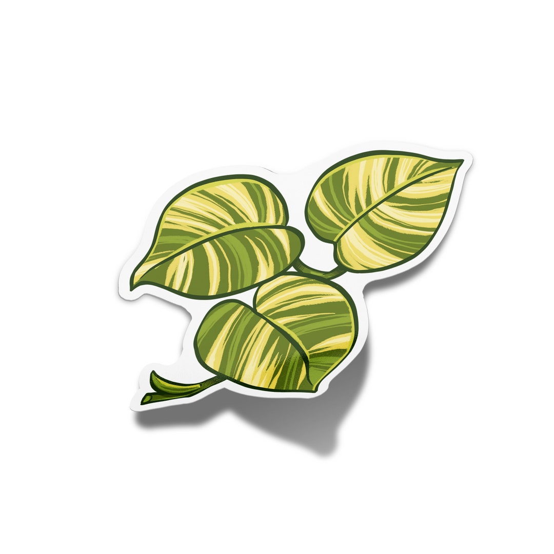 Golden Photos Cute Plant Stickers Uv Textured Vinyl Waterproof Stickers ...