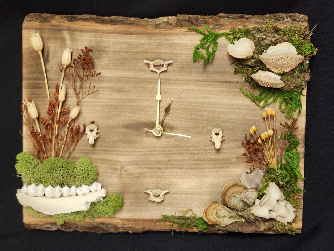 Vertebrae and Deer Jaw Clock - Etsy