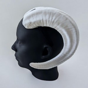 Ram Horns - Etsy