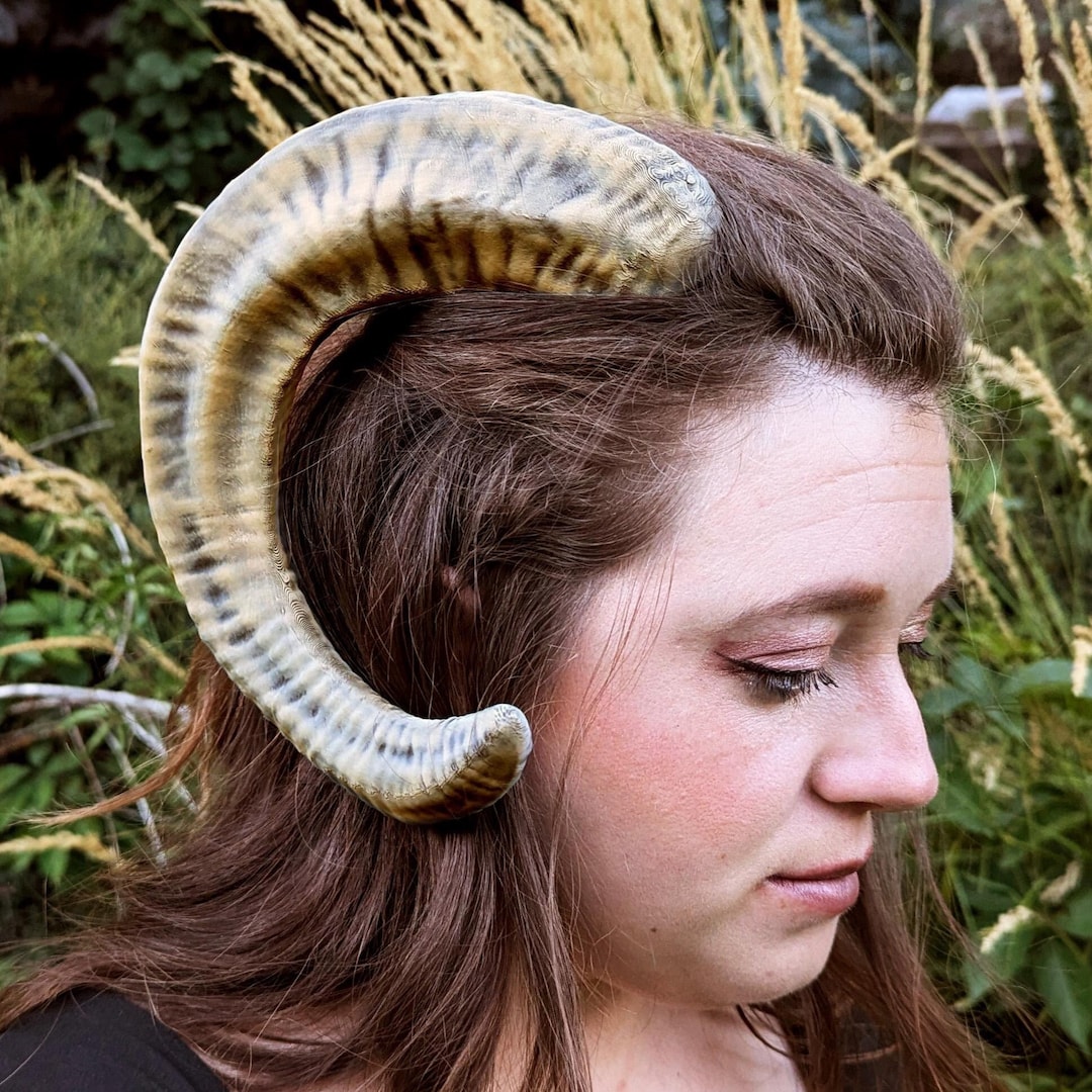 Ram Horns - Etsy