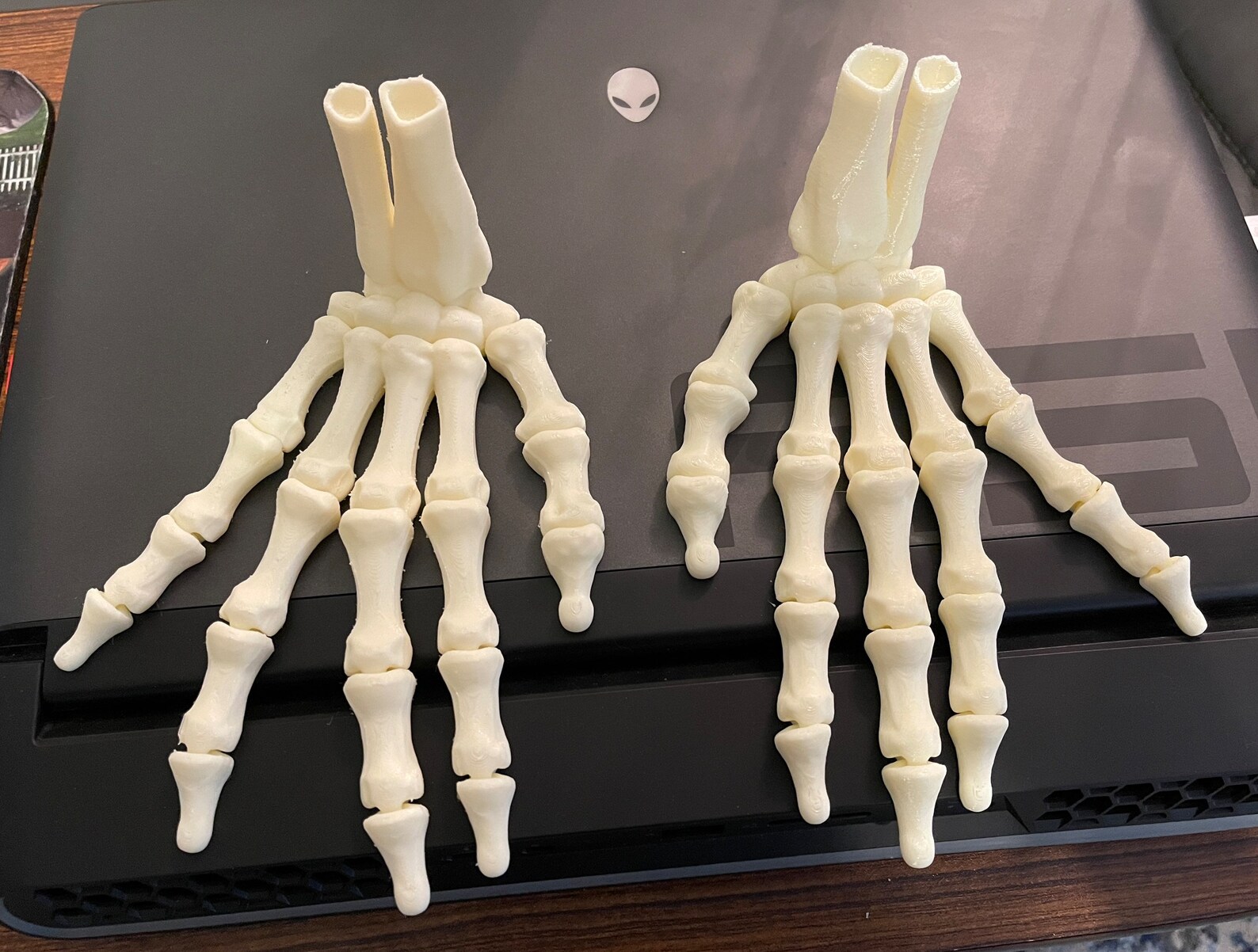 Flexi Skeleton Hand - Etsy