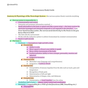 Medical Surgical Neuro Study Guide - Etsy