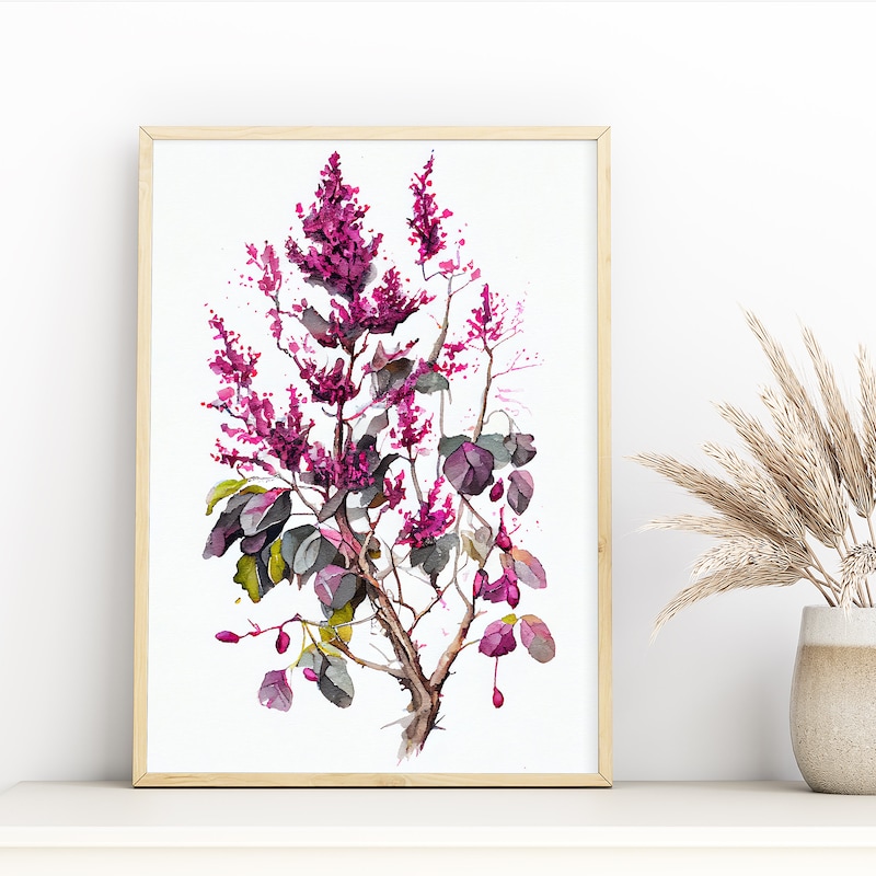 Redbud Tree - Etsy