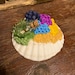 Coral and Sea Shell Miniature | Underwater Coral | Polymer Clay Coral ...