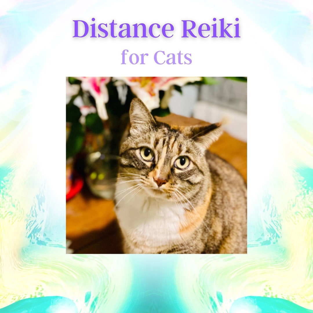 Distant Reiki for Cats - Etsy