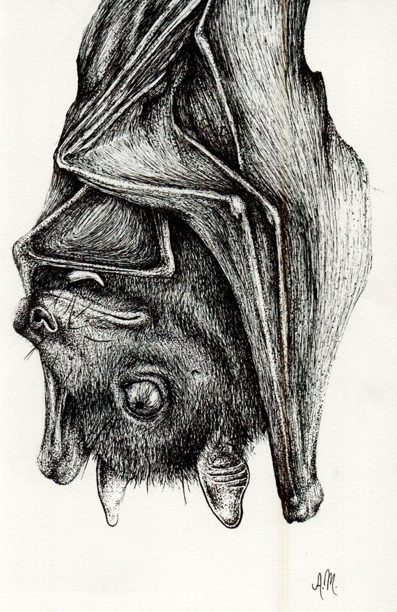 Bat-ink Drawing Print | Etsy