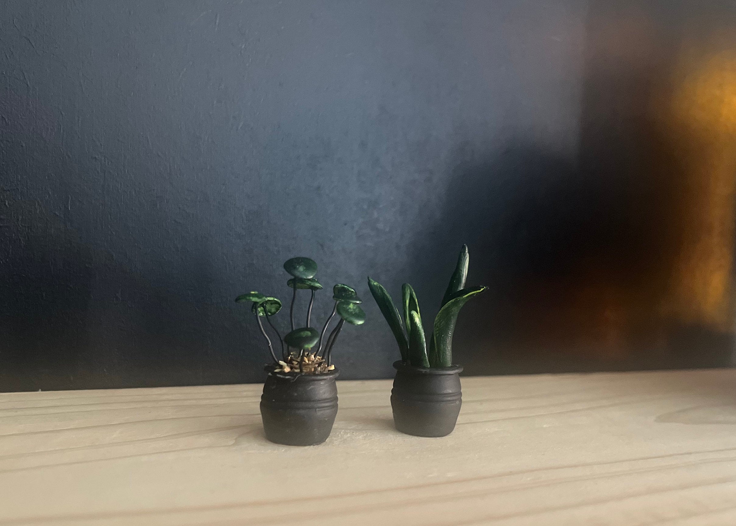 Miniature Plant Set - Etsy