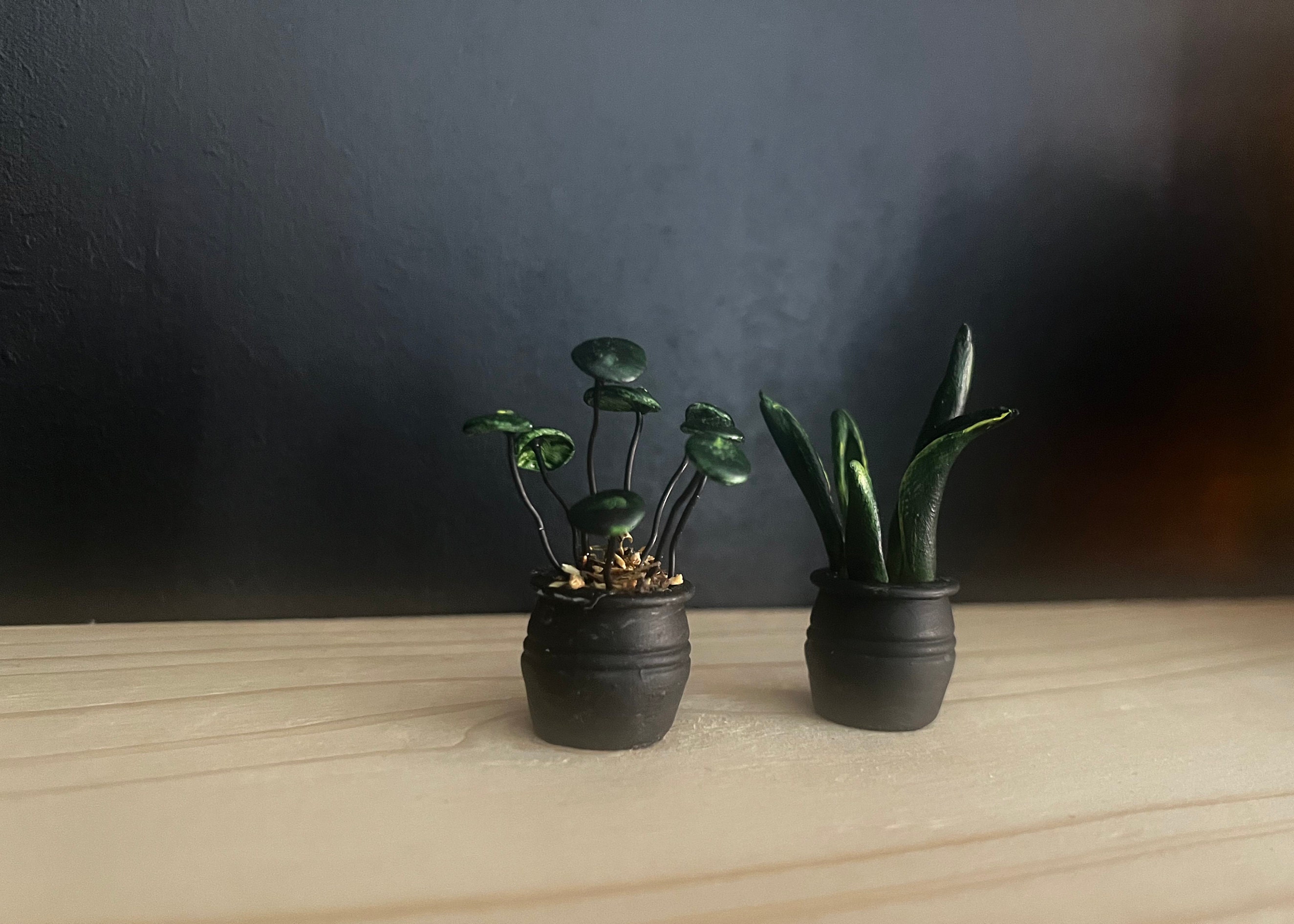 Miniature Plant Set - Etsy