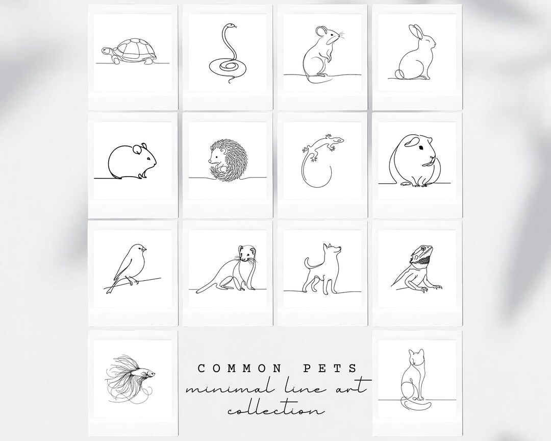 Common House Pets PNG, SVG Digital File Pack 14 Animals - Etsy