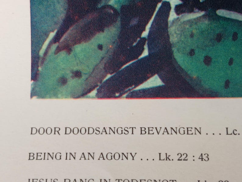 RARE VINAGE 1955 Bellarminus Bible Story Poster #49 Being in Agony - Etsy