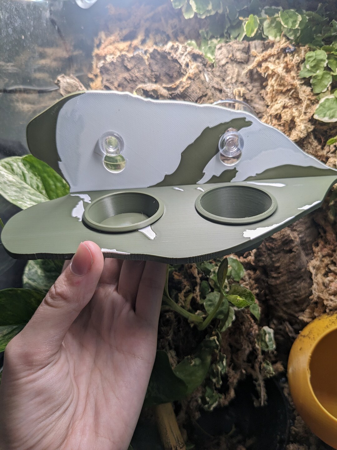 White Knight Philodendron Ledge for 0.5oz Deli Cup | Crested Gecko ...