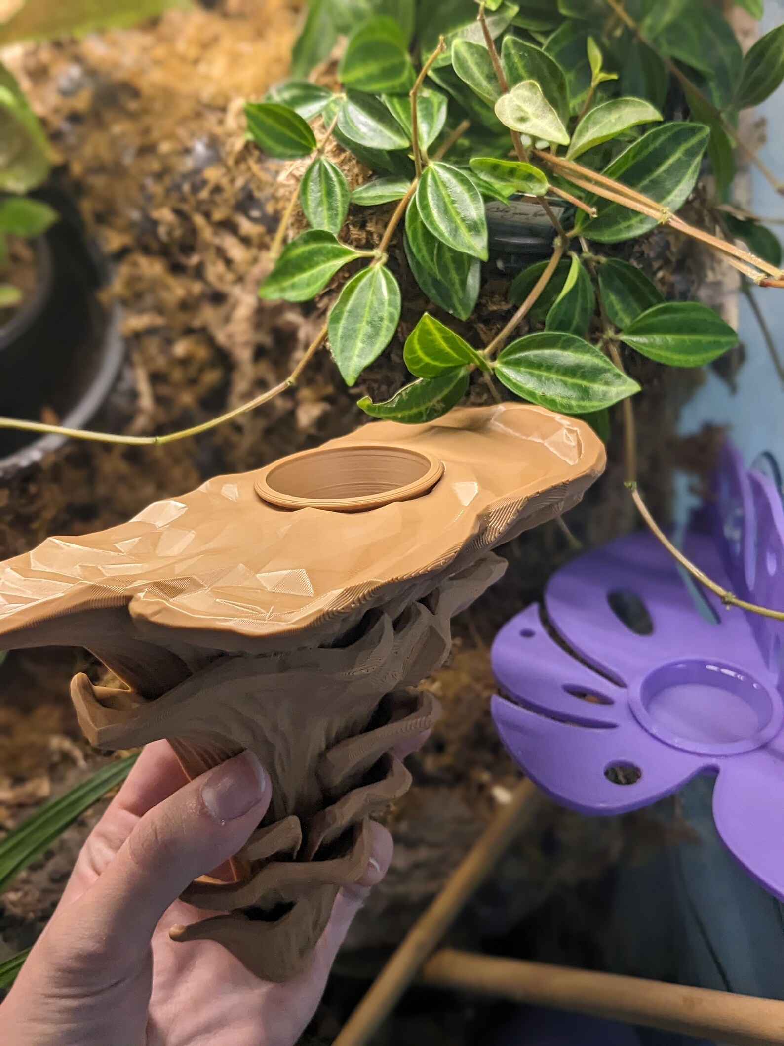 Mushroom Gecko Ledge | Crested and Gargoyle Gecko Feeding Ledge ...