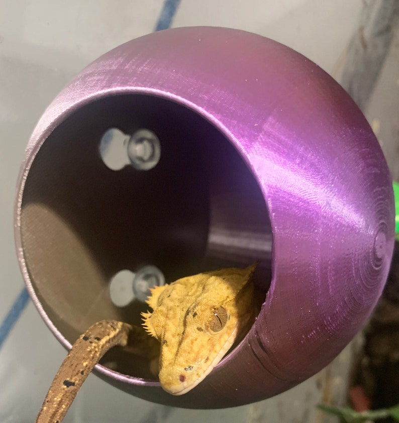 Arboreal Gecko Pod Crested Gecko Hide Reptile Cave 3D - Etsy