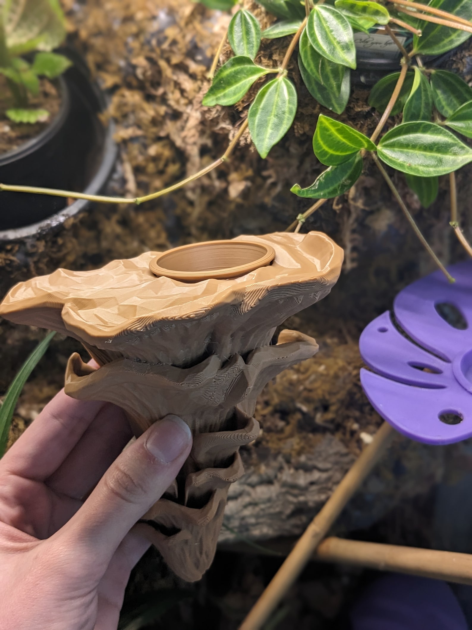 Mushroom Gecko Ledge | Crested and Gargoyle Gecko Feeding Ledge ...