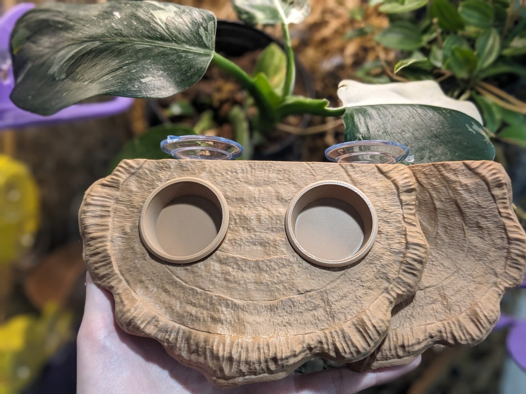 Wide Mushroom Gecko Ledge Crestie Gargoyle Feeding Ledge Suction Cup ...