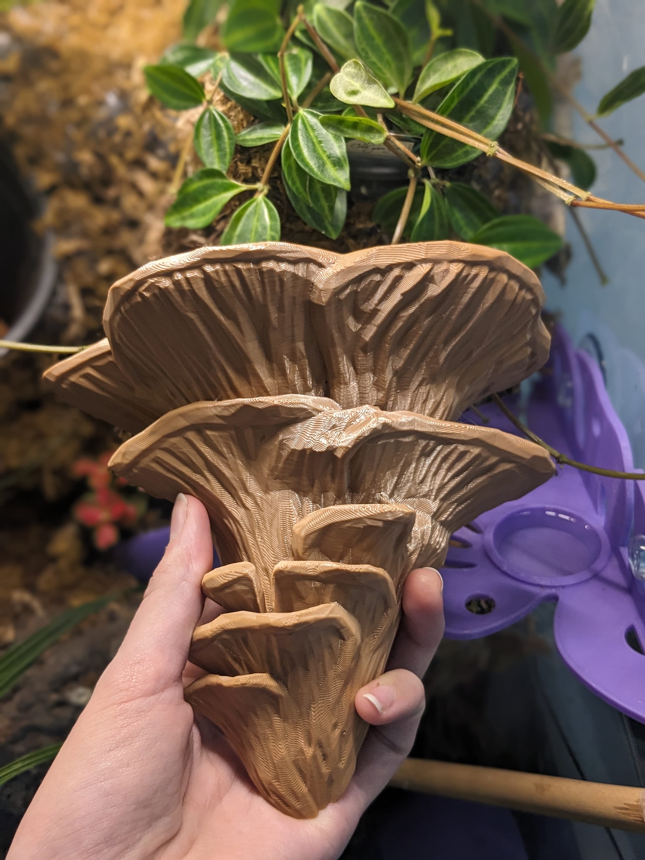 Mushroom Gecko Ledge Crested and Gargoyle Gecko Feeding Ledge Suction ...