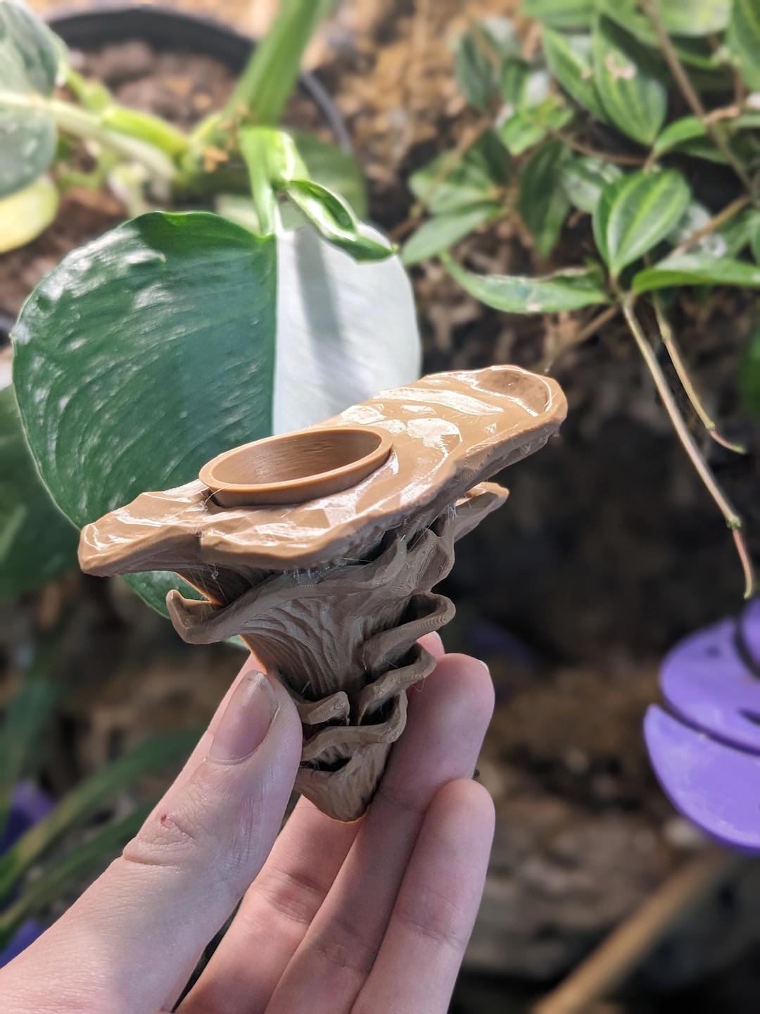 Hatchling Mushroom Gecko Ledge | Crested and Gargoyle Gecko Feeding ...