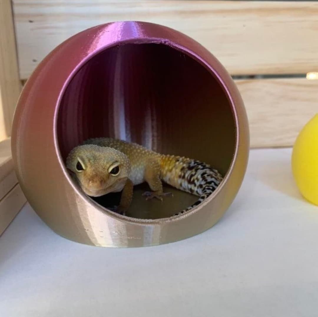 Leopard Gecko Pod | Gecko Hide | Gecko Cave | Fat Tailed Gecko - Etsy