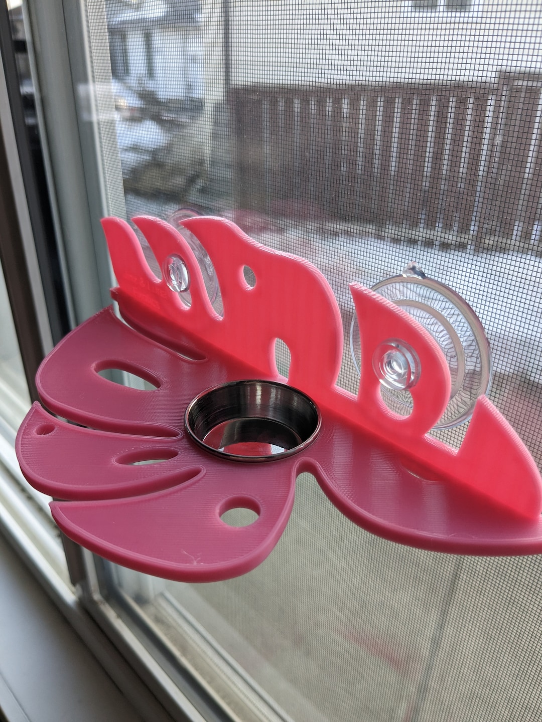 Monstera Feeding Ledge for 0.5oz Deli Cup | Crested Gecko | Reptile ...