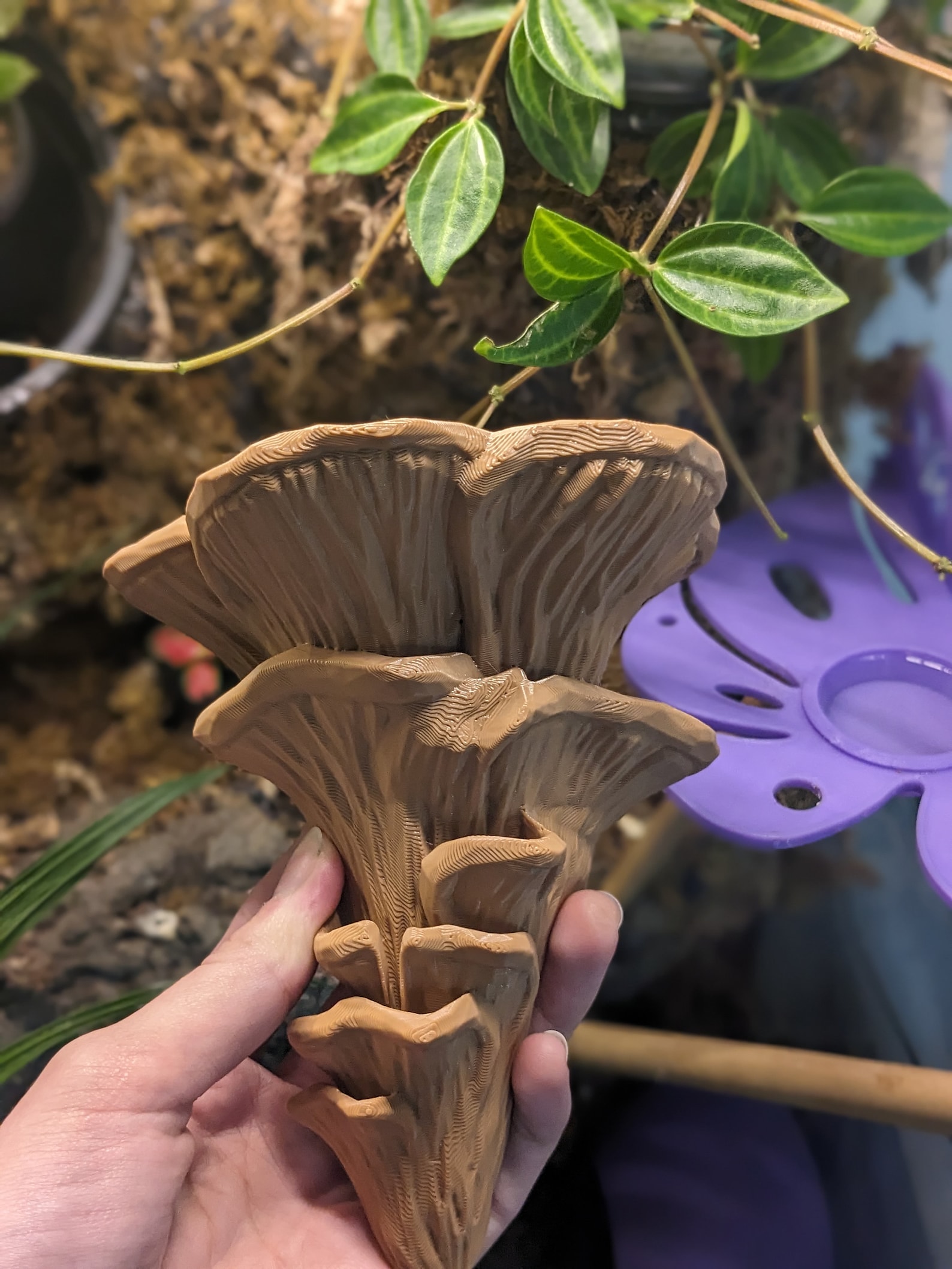 Mushroom Gecko Ledge | Crested and Gargoyle Gecko Feeding Ledge ...