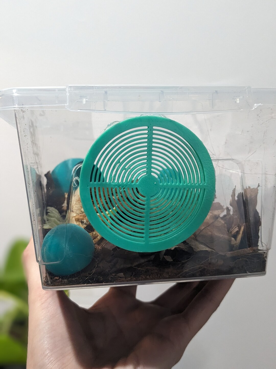 Isopod Vent Insect Mesh Cover 2.5 Inch Airflow Cover for Bug Keepers - Etsy