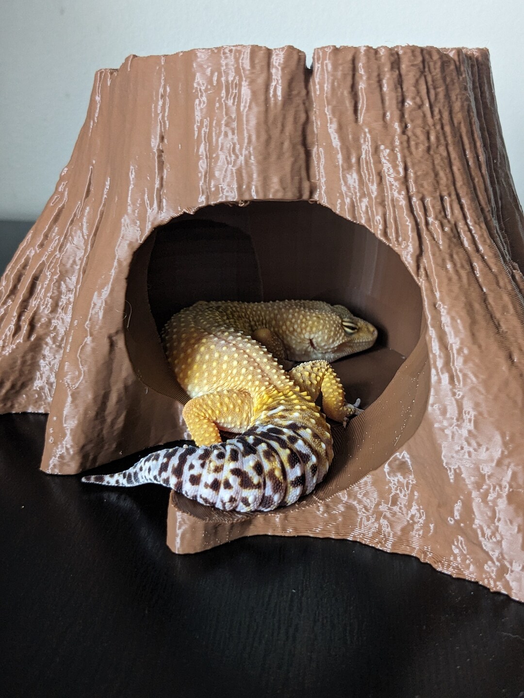 Leopard Gecko Tree Trunk Hide | African Fat Tailed Gecko Log Cave ...