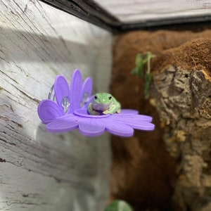 Daisy Flower Feeding Ledge With Dish Crested Gecko Reptile Gecko Food ...