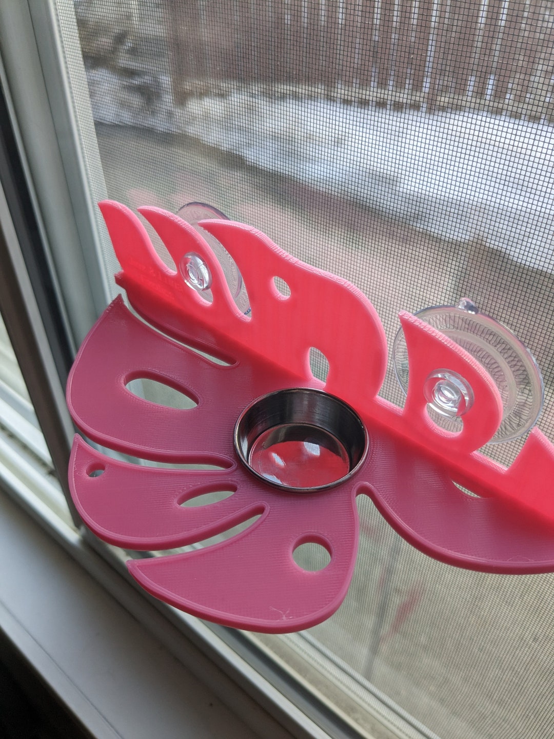 Monstera Feeding Ledge for 0.5oz Deli Cup Crested Gecko Reptile Suction ...