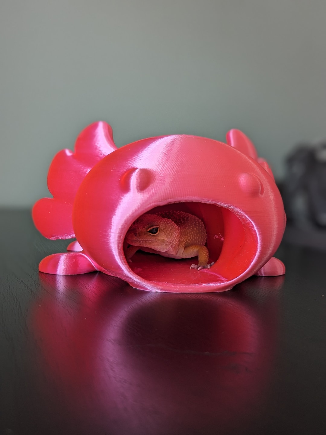 Axolotl Shaped Leopard Gecko Pod | Salamander Decor | Gecko Hide ...