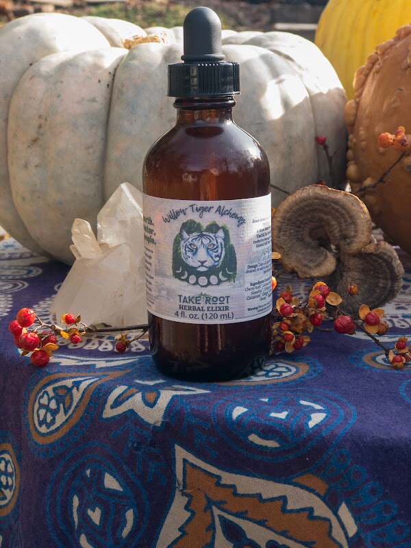 Take Root // Root Beer Flavored Elixir - Etsy