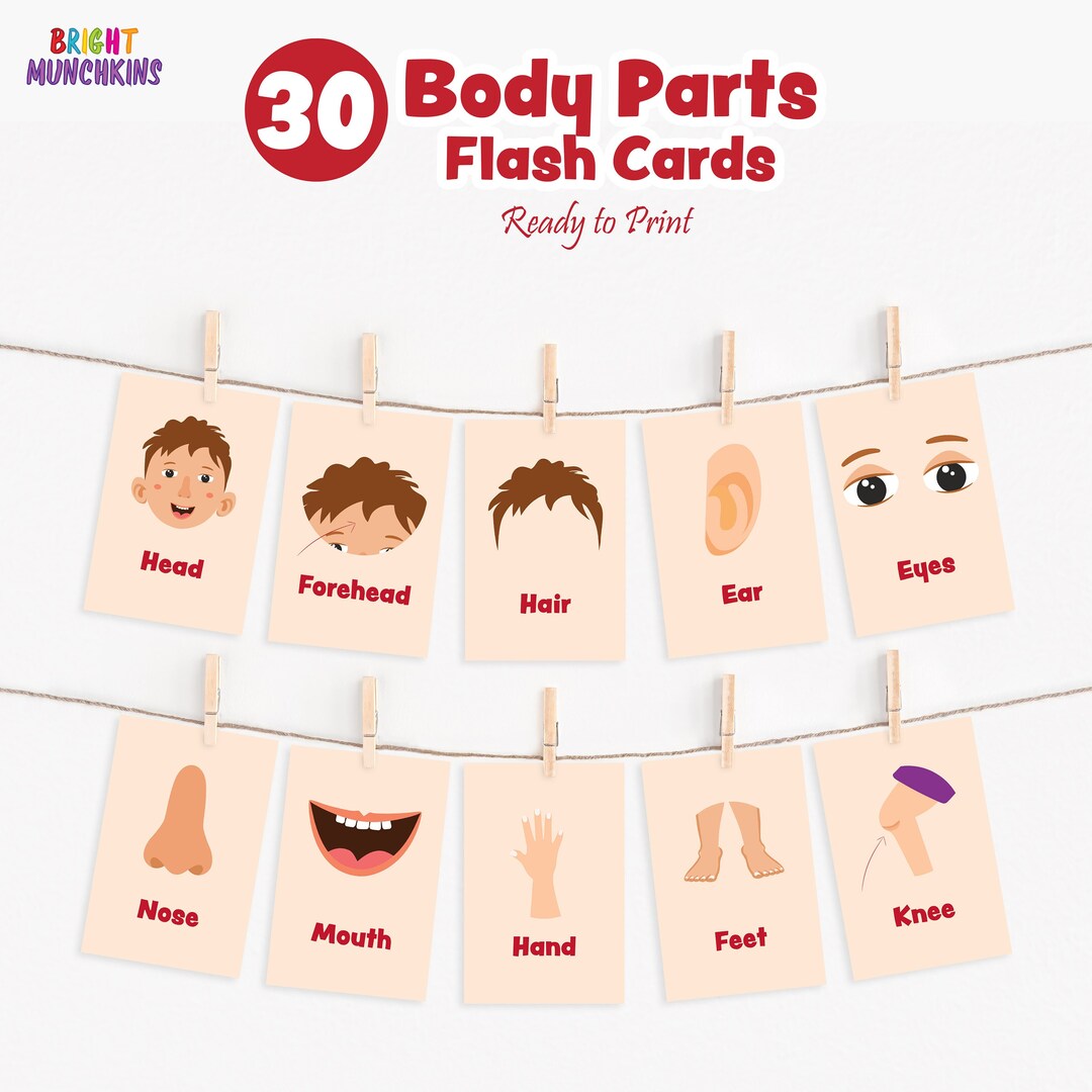 Printable 30 Body Parts Flashcards for Toddlers Preschool - Etsy UK