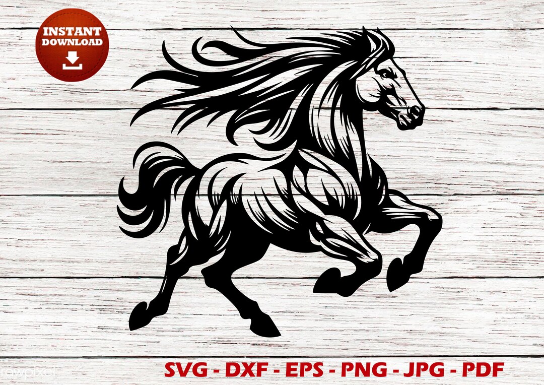 Stallion SVG - Etsy