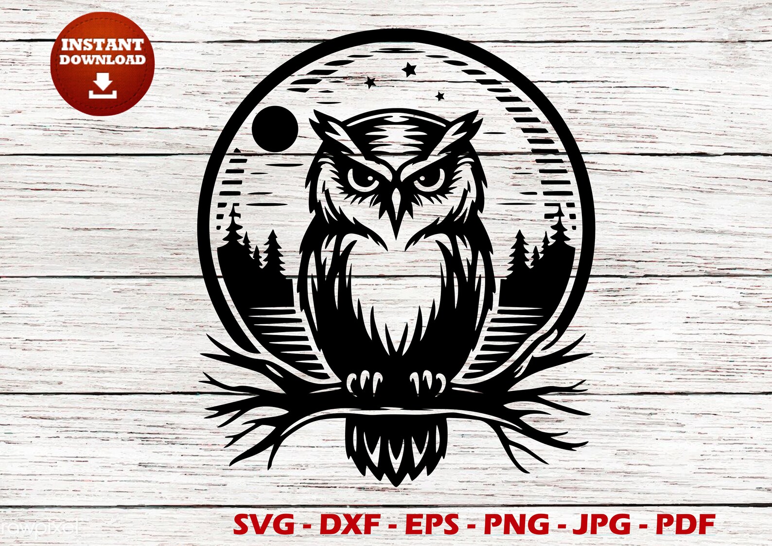 Owl Scene SVG - Etsy