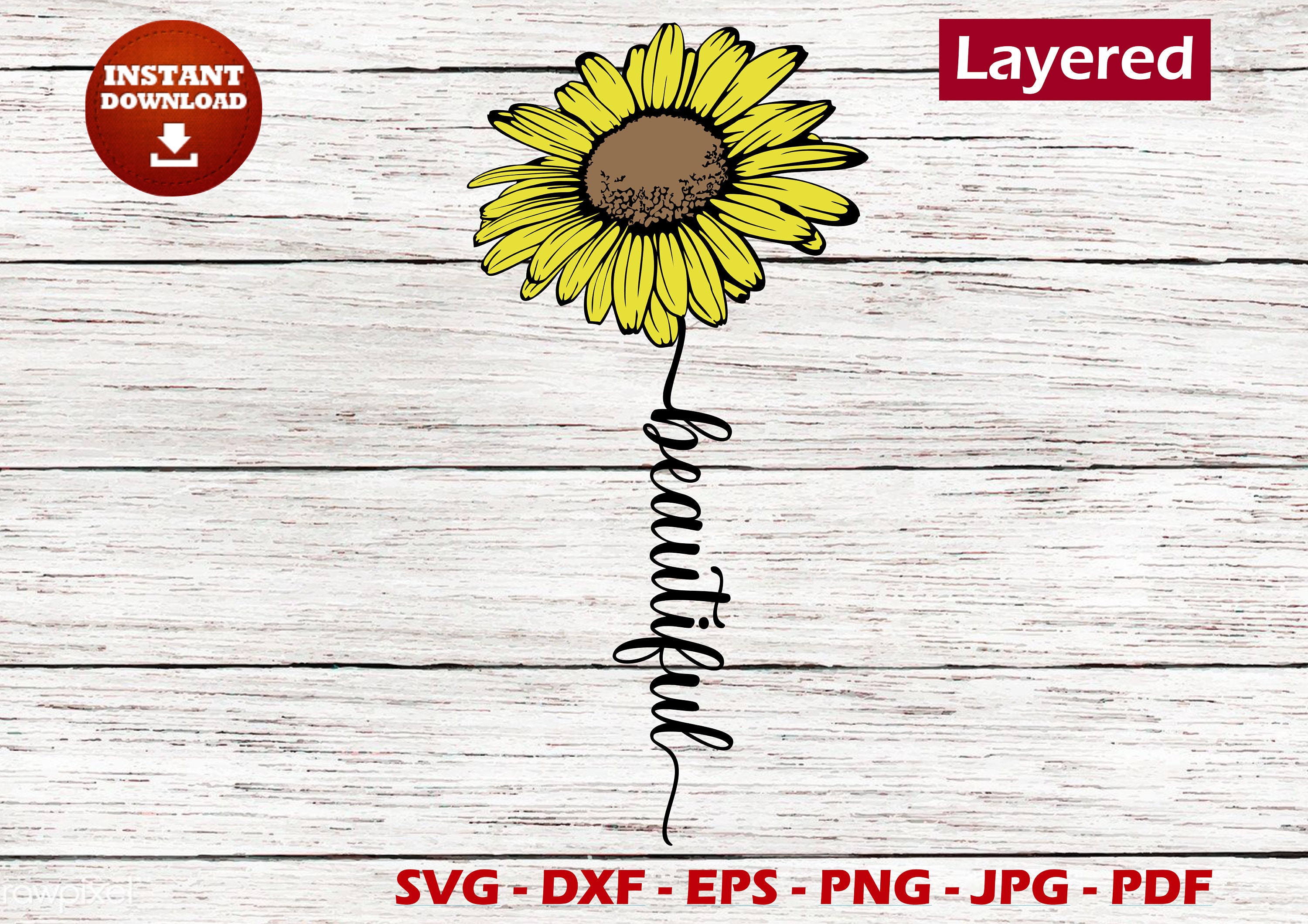 Beautiful SVG - Etsy