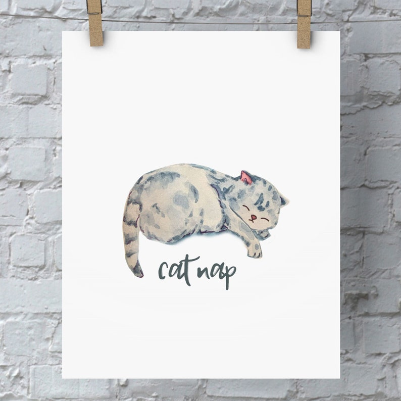 Cat Nap Poster - Bedroom Wall Art - Dorm Room Decor - Kawaii Cat Print ...