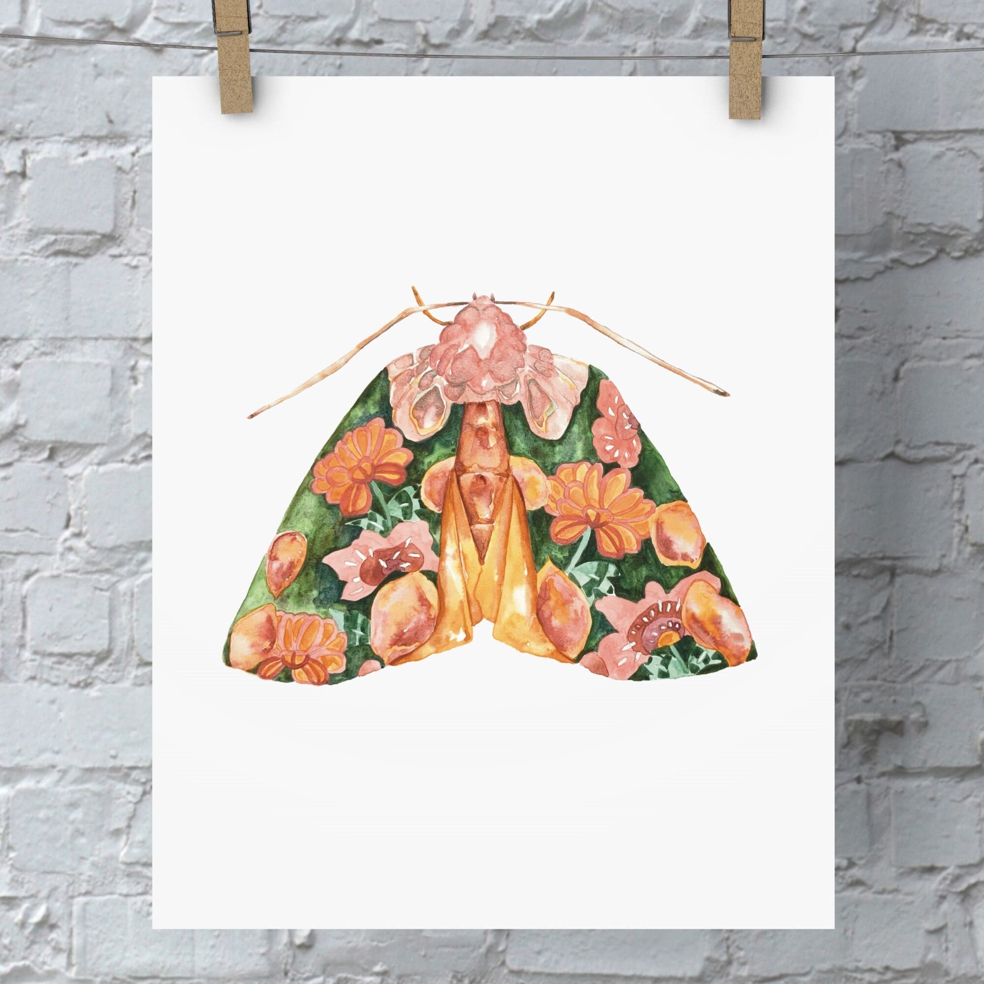 Moth Art Print Insect Art Office Wall Decor Unique Art Entomologist Art ...