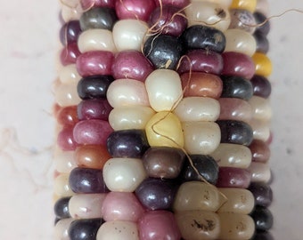 Rubies and Amber Glass Gem Cherokee Indian Corn Seed Pack - Etsy