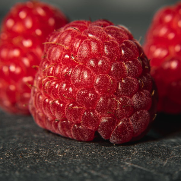 Raspberry Red - Etsy