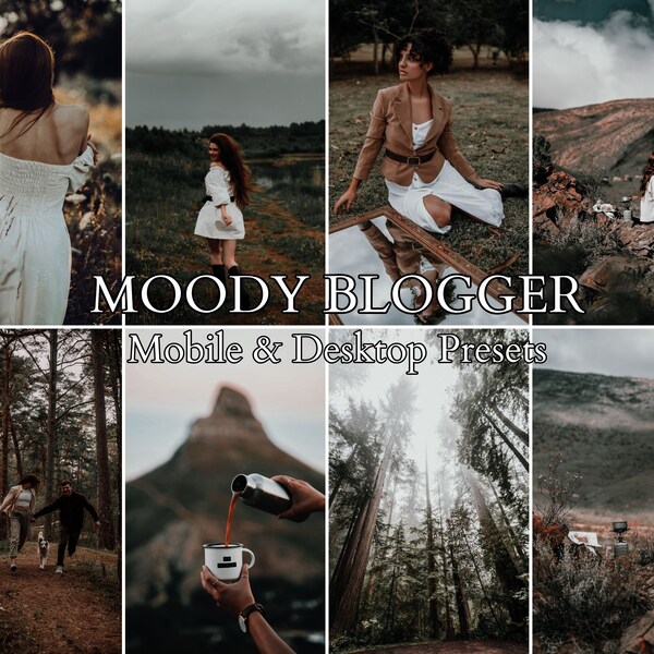 Blogger Presets - Etsy