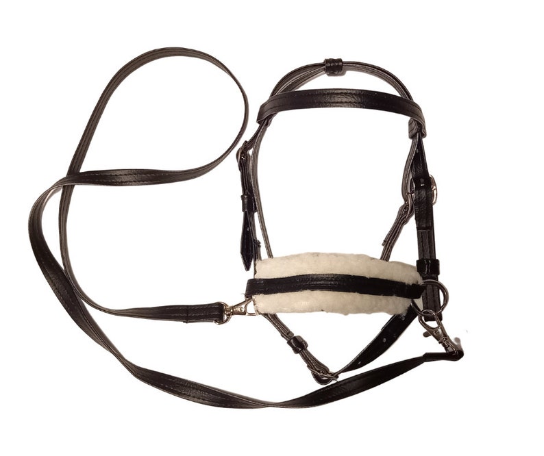 Bitless Bridle With Soft Padding + Reins for Hobby Horse , Hobbyhorse ...