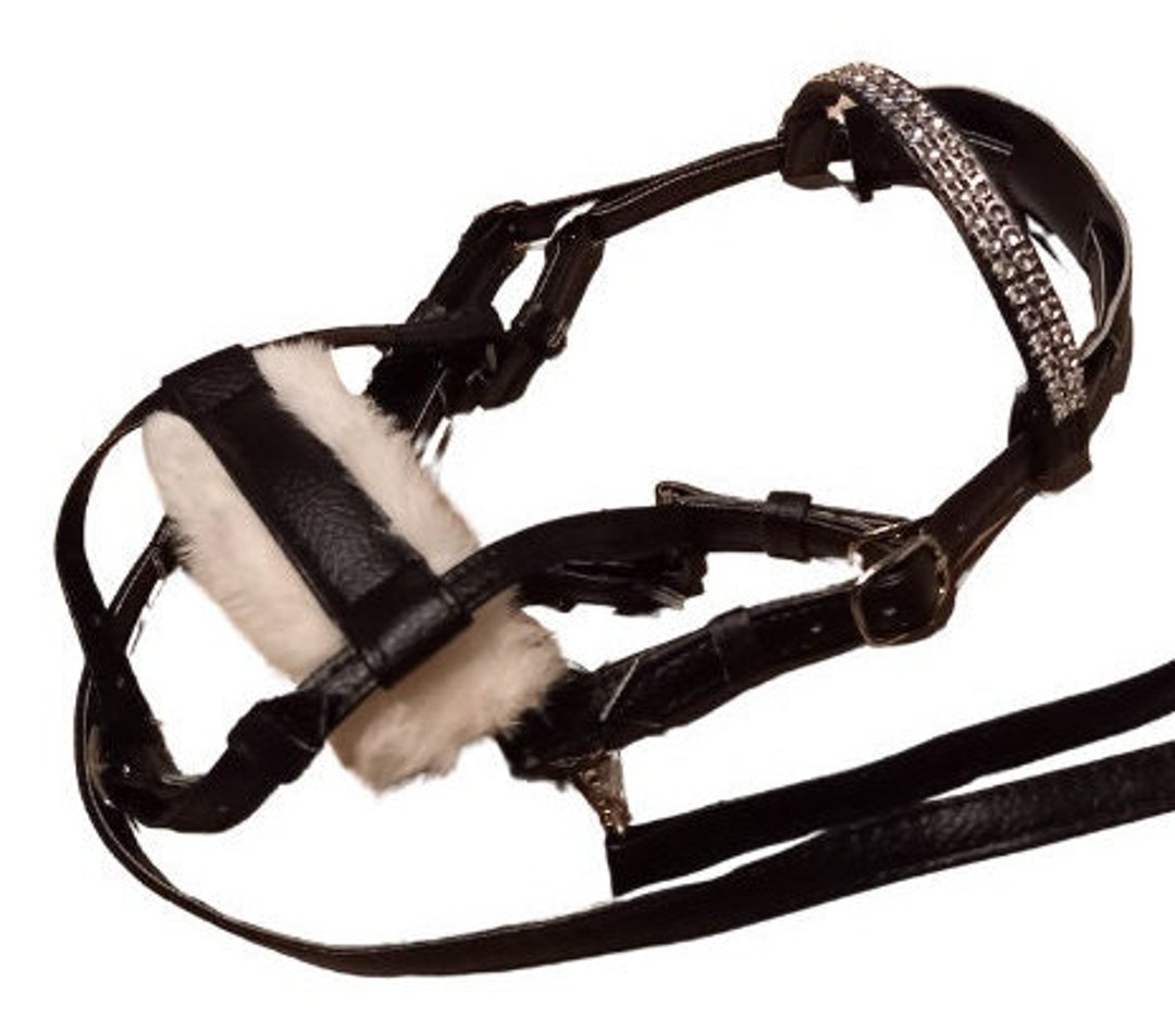 High Jump Bridle With Fur for Hobby Horse, X-jump Bridle With Reins for ...