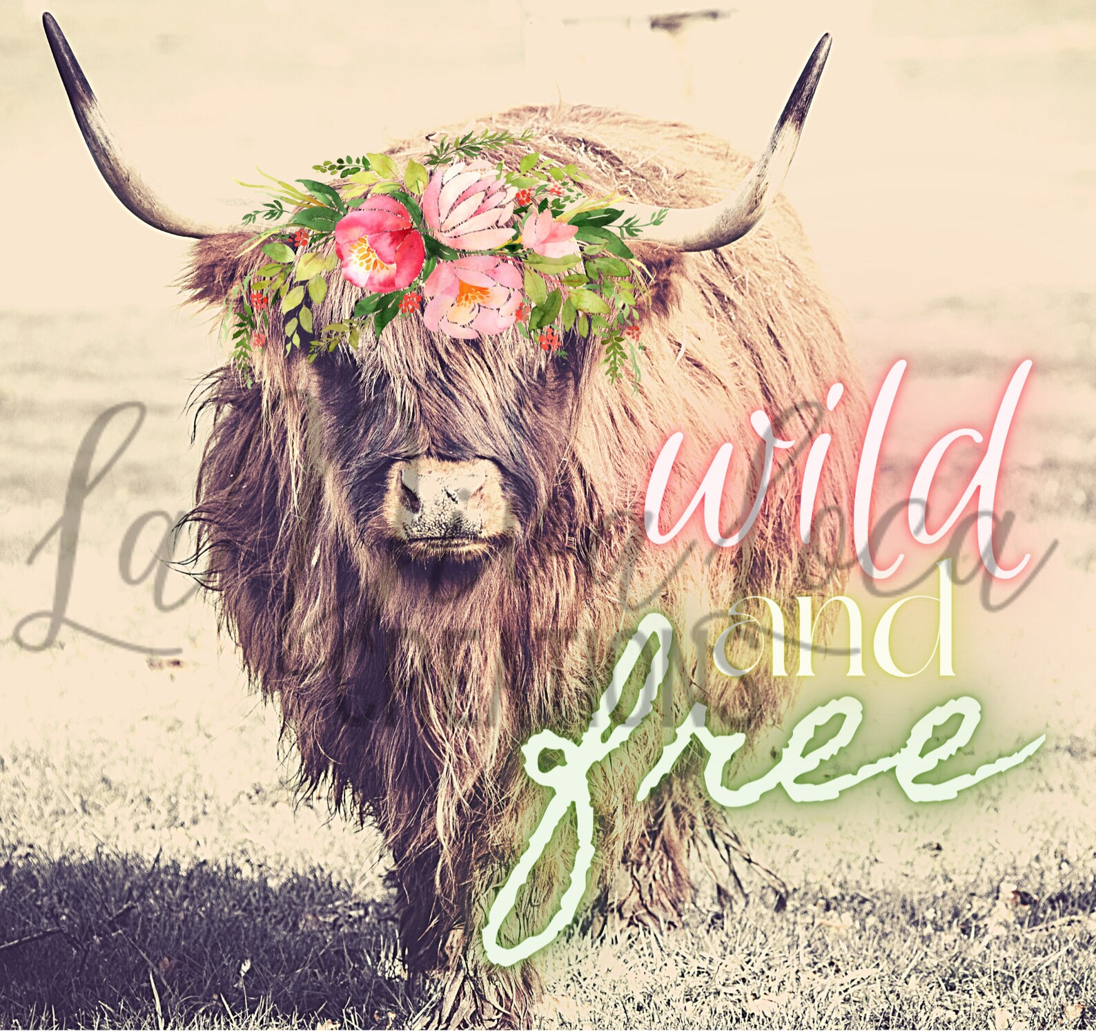 Wild and Free Highlander Cow/ Bull/ Heifer 20oz and 30oz Skinny ...
