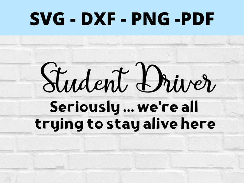 Student Driver SVG Bumper Sticker Svg Vehicle Car Sticker - Etsy