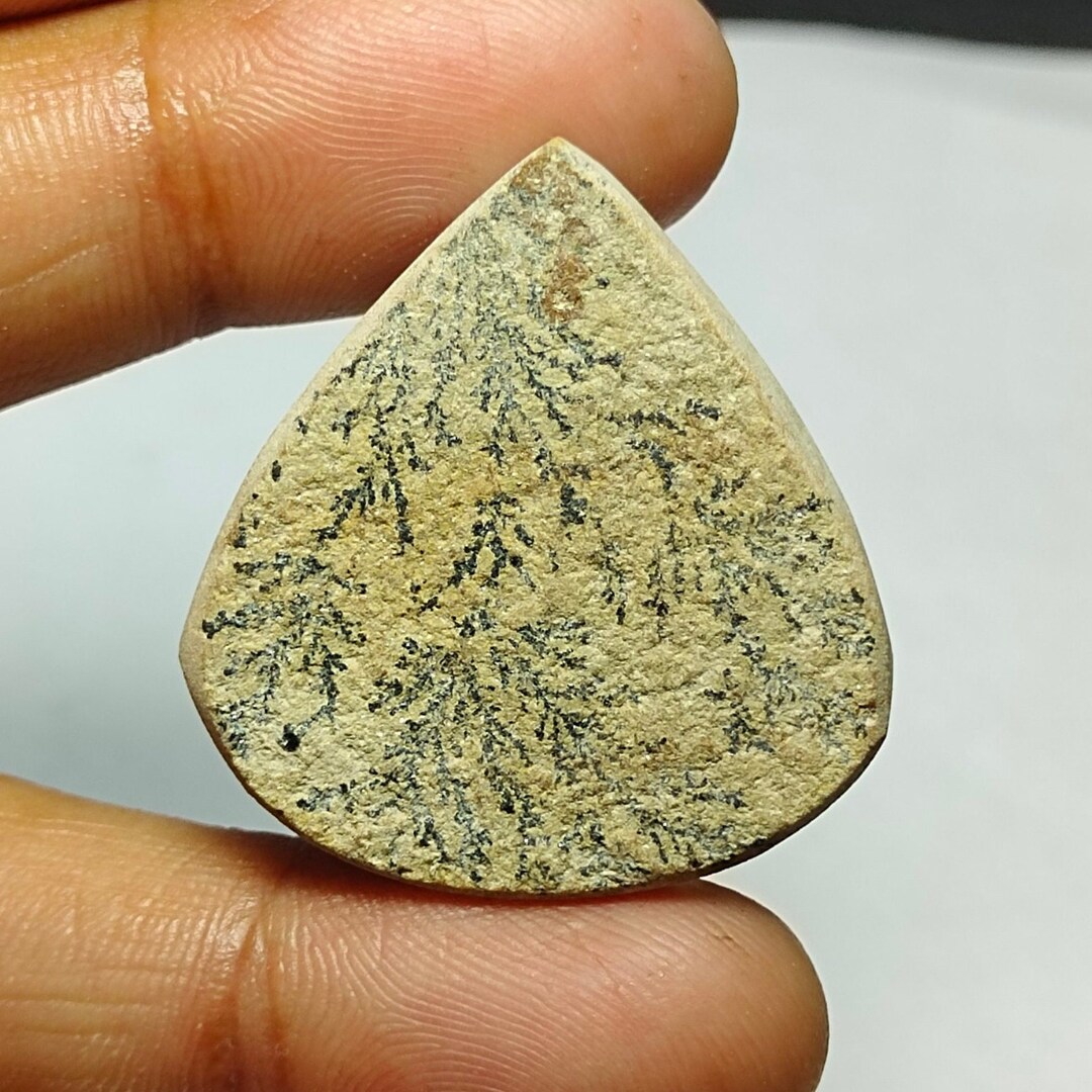 Amazing Tree Psilomelane Dendrite Top Quality Psilomelane Dendrite ...